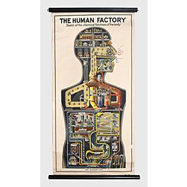 The Human Factory.,KAHN, Fritz.,1931,An iconic modernist vision: man as ...